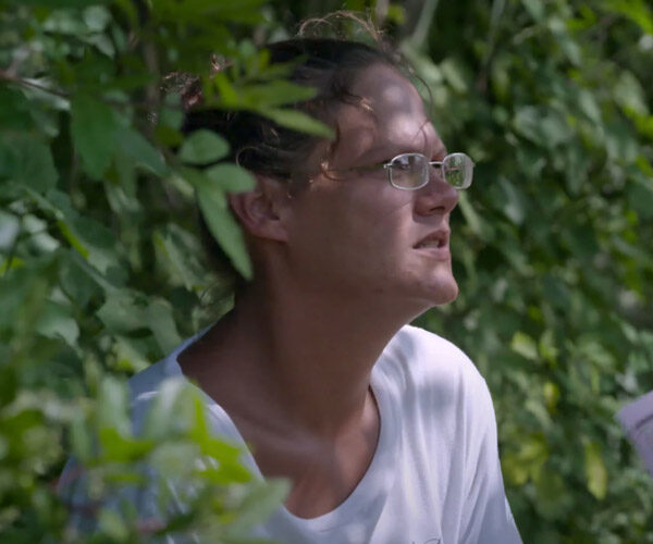 “Bug Farm” by Lydia Cornett - BOOOOOOOM TV - A daily selection of the ...